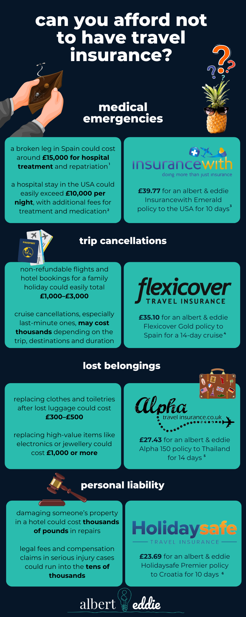 Can you afford not to have Travel Insurance? - albert & eddie